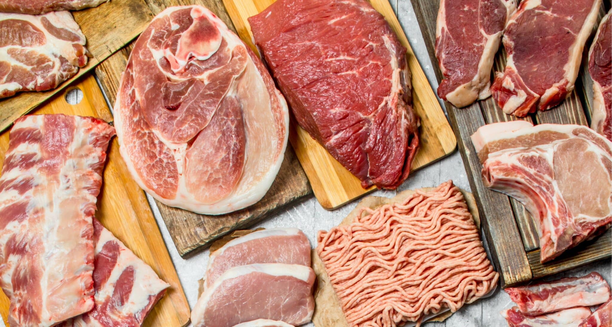 Complete Guide to Ragdoll Breeders - Masterpiece Ragdolls