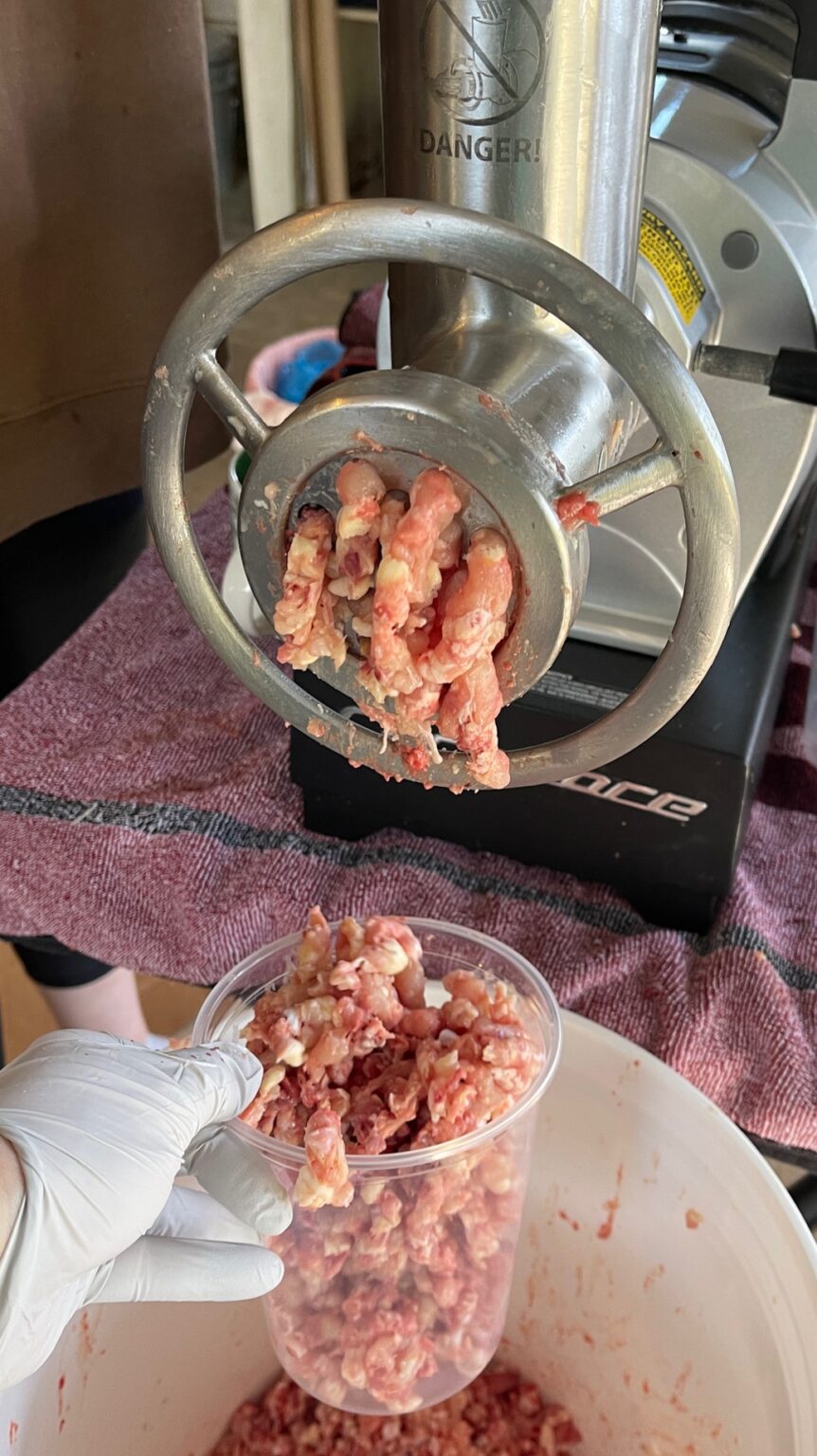 What is the Best Ragdoll Cat Food: 5 Reasons Raw is Right - Masterpiece ...